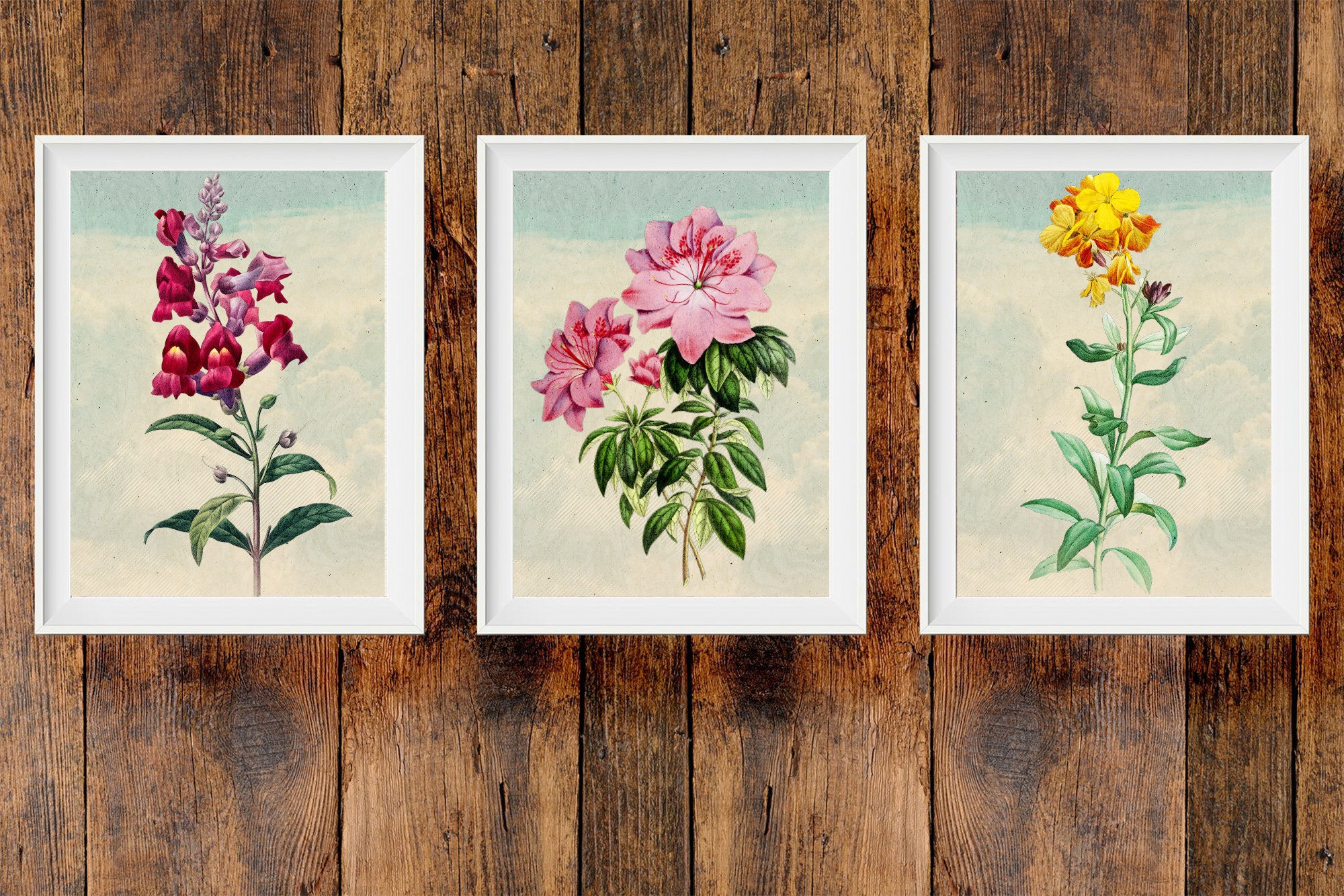 Colorful Flowers Wall Art Set of 3, Floral Print, Flower Decor, Art for ...