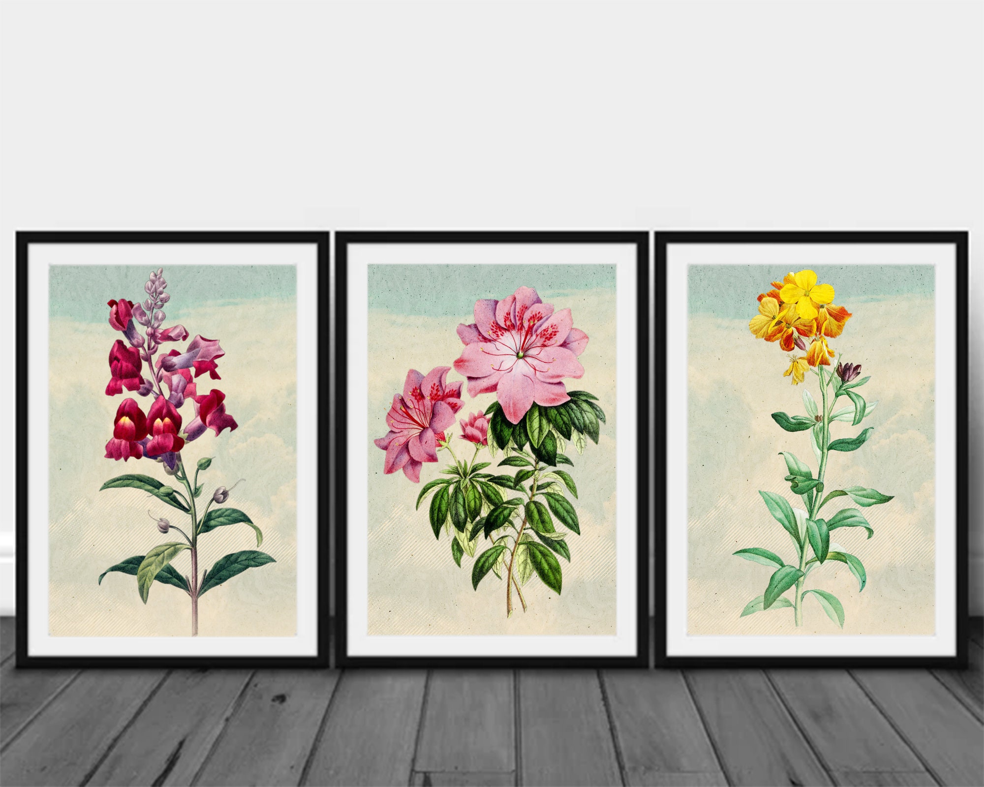 Colorful Flowers Wall Art Set of 3, Floral Print, Flower Decor, Art for ...