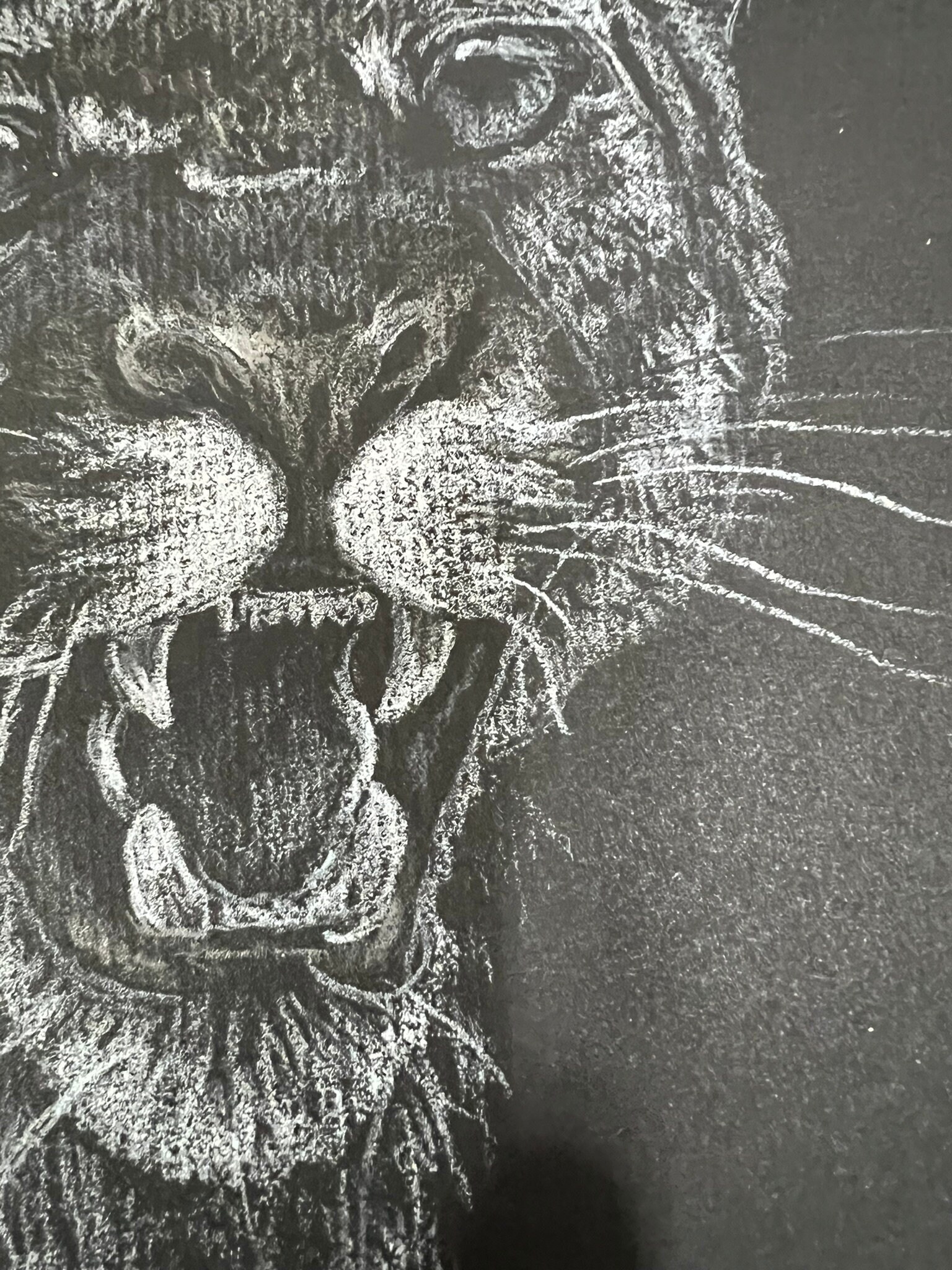 Original, One of a Kind Cougar Drawing, White Pencil on Black Paper - Etsy
