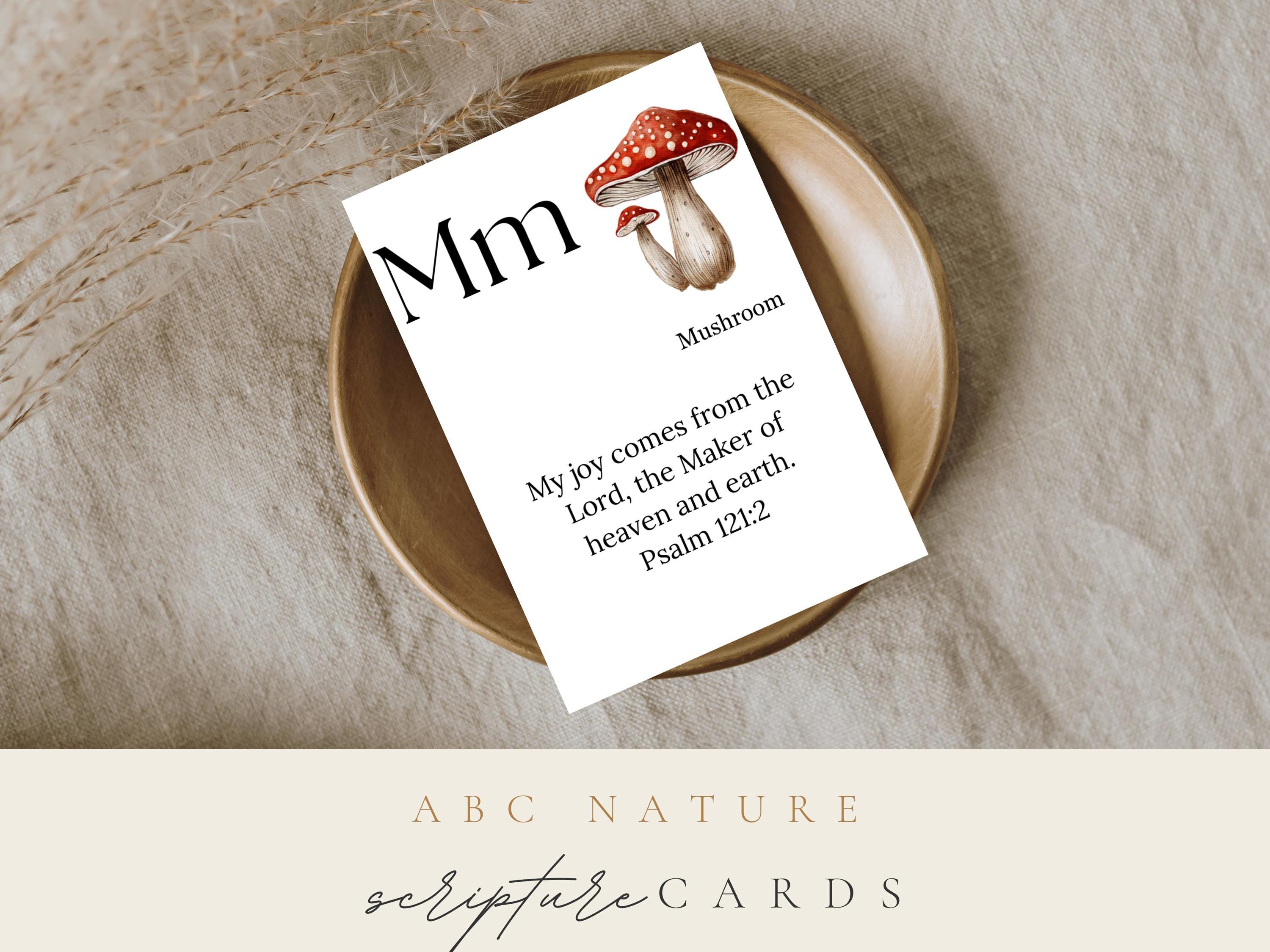 Nature ABC Flashcards for Kids Cottagecore Alphabet Scripture Cards ...