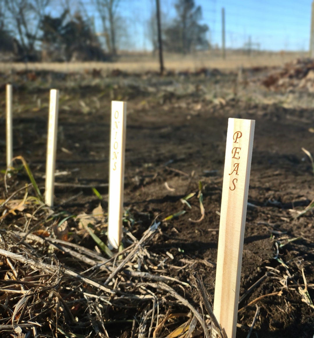 Wood Garden Stakes/markers - 100% Pure Wood With NO Preservatives ...
