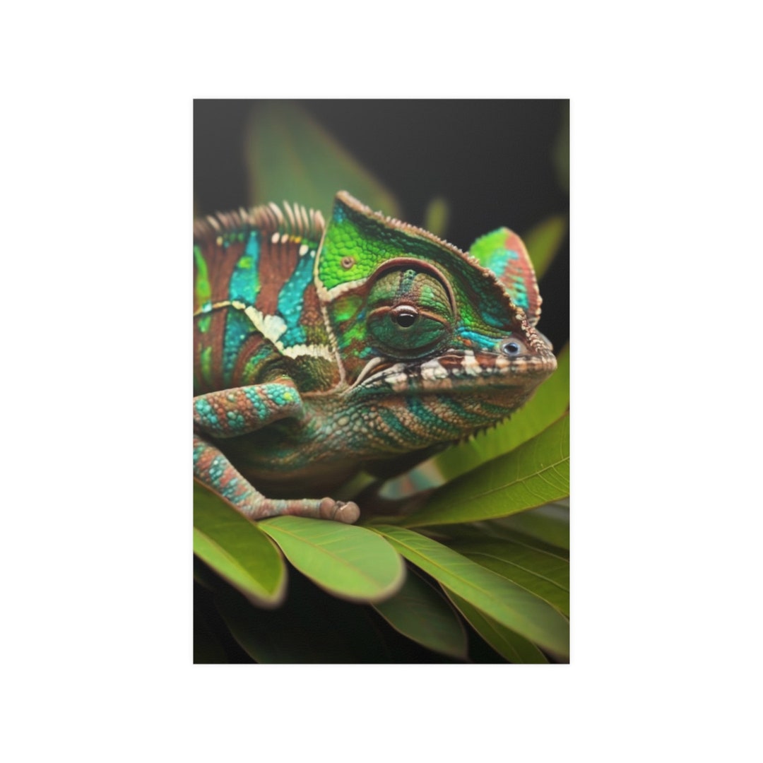 Veiled Chameleon Poster - Etsy