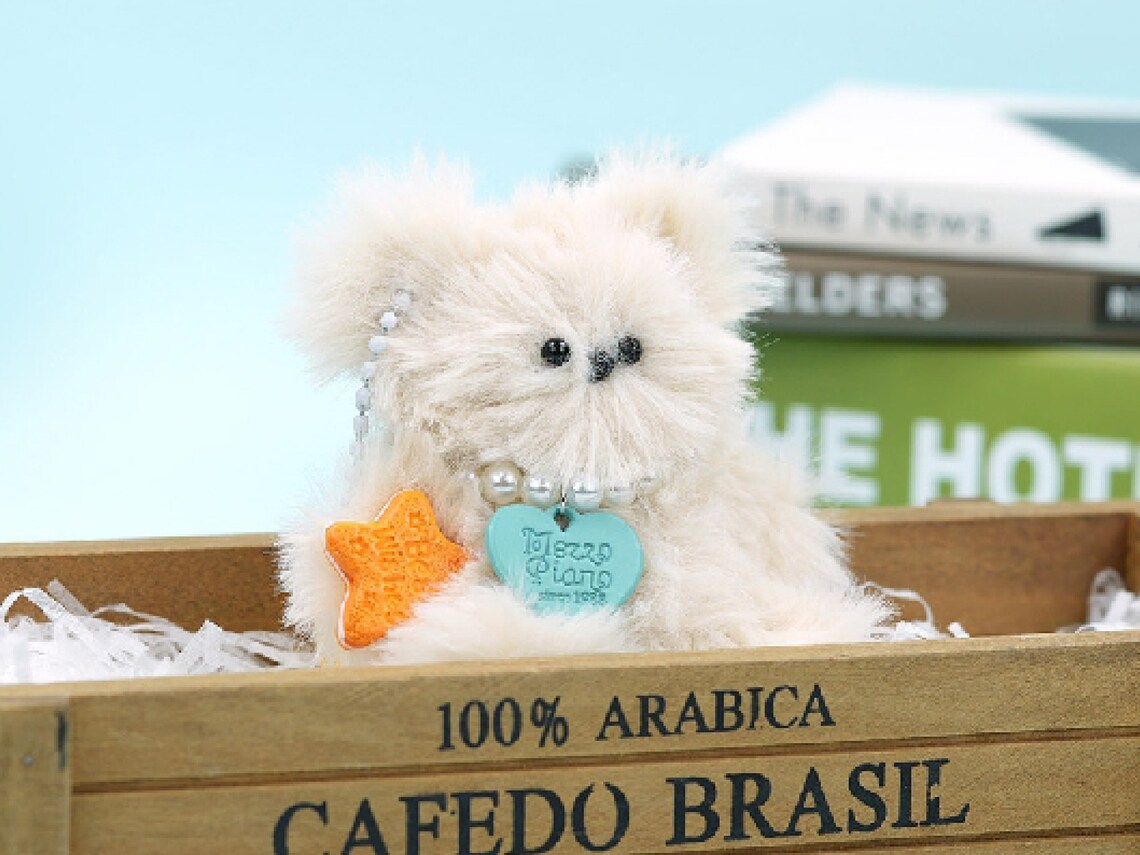 Craft Your Magic: Enchanting Moru Doll DIY Kit Ideal for Unique Gifts ...