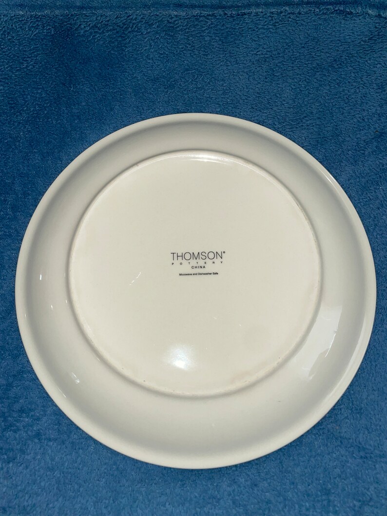Thomson Pottery China. Pattern: Birdhouse. 10 3/8 - Etsy