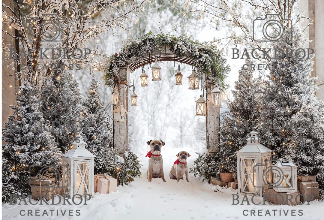 Winter Wonderland Backdrop | Snowy Photo | Christmas Party Decor ...