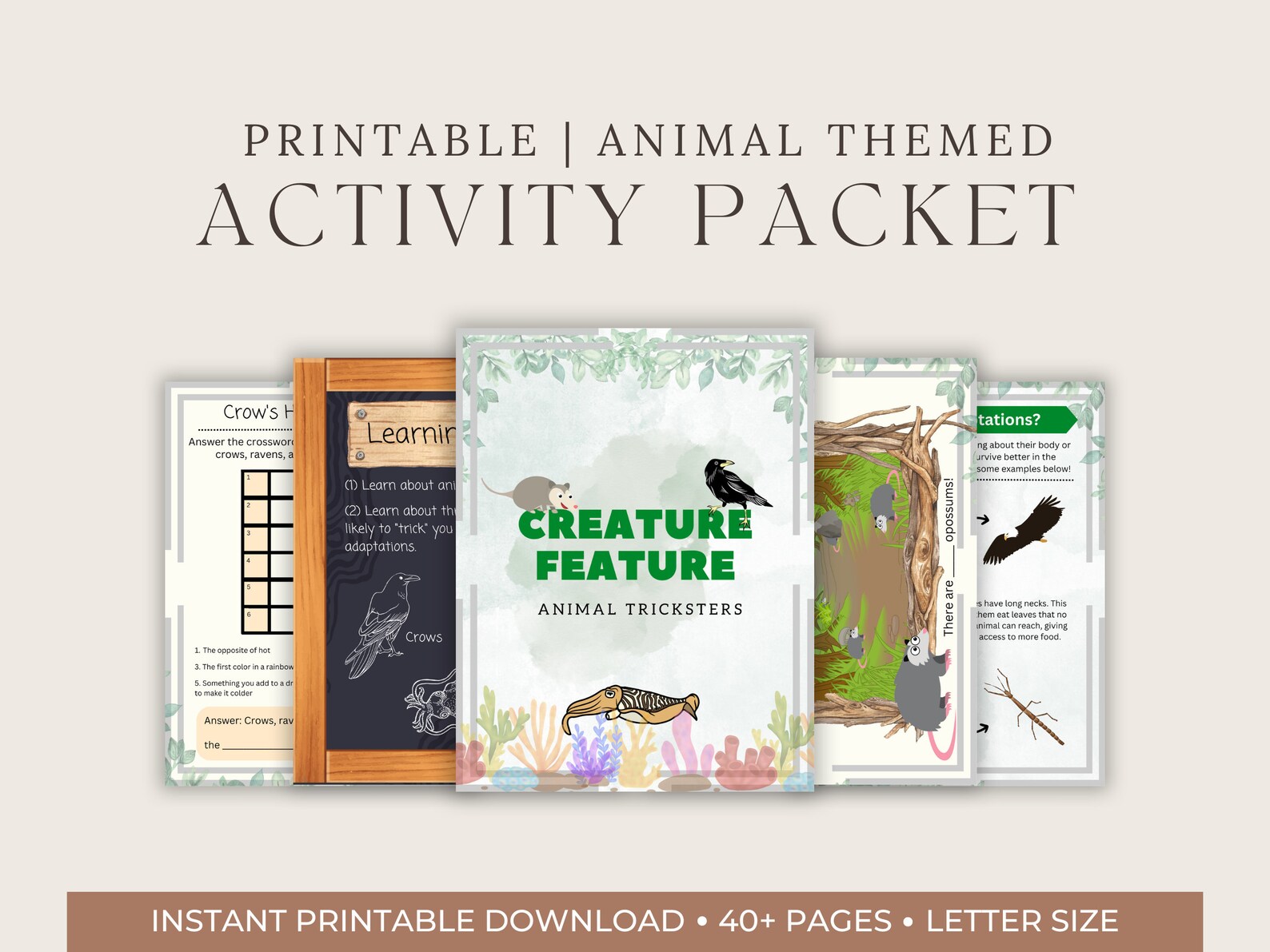 Educational Animal Activity Packet, Worksheets for Kids – ADAPTATIONS ...