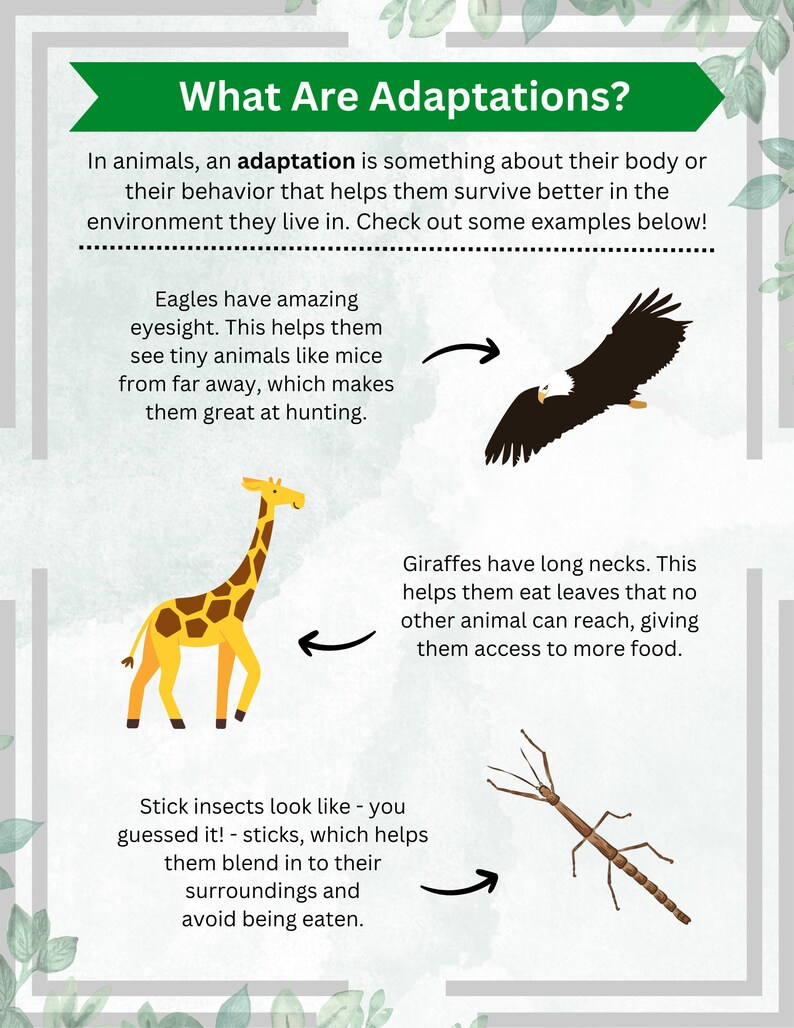 Educational Animal Activity Packet, Worksheets for Kids – ADAPTATIONS ...