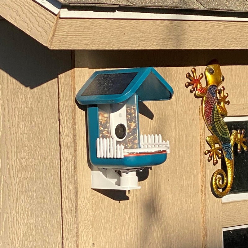 Birdbuddy Accessories - Etsy