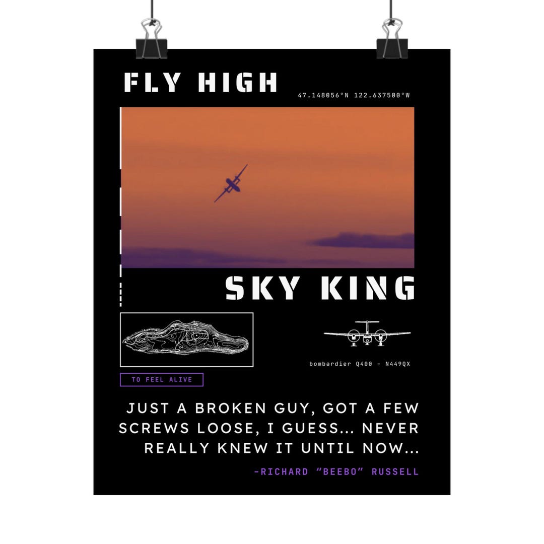 Sky King Aviation Poster: Inspirational Matte Wall Art - Etsy