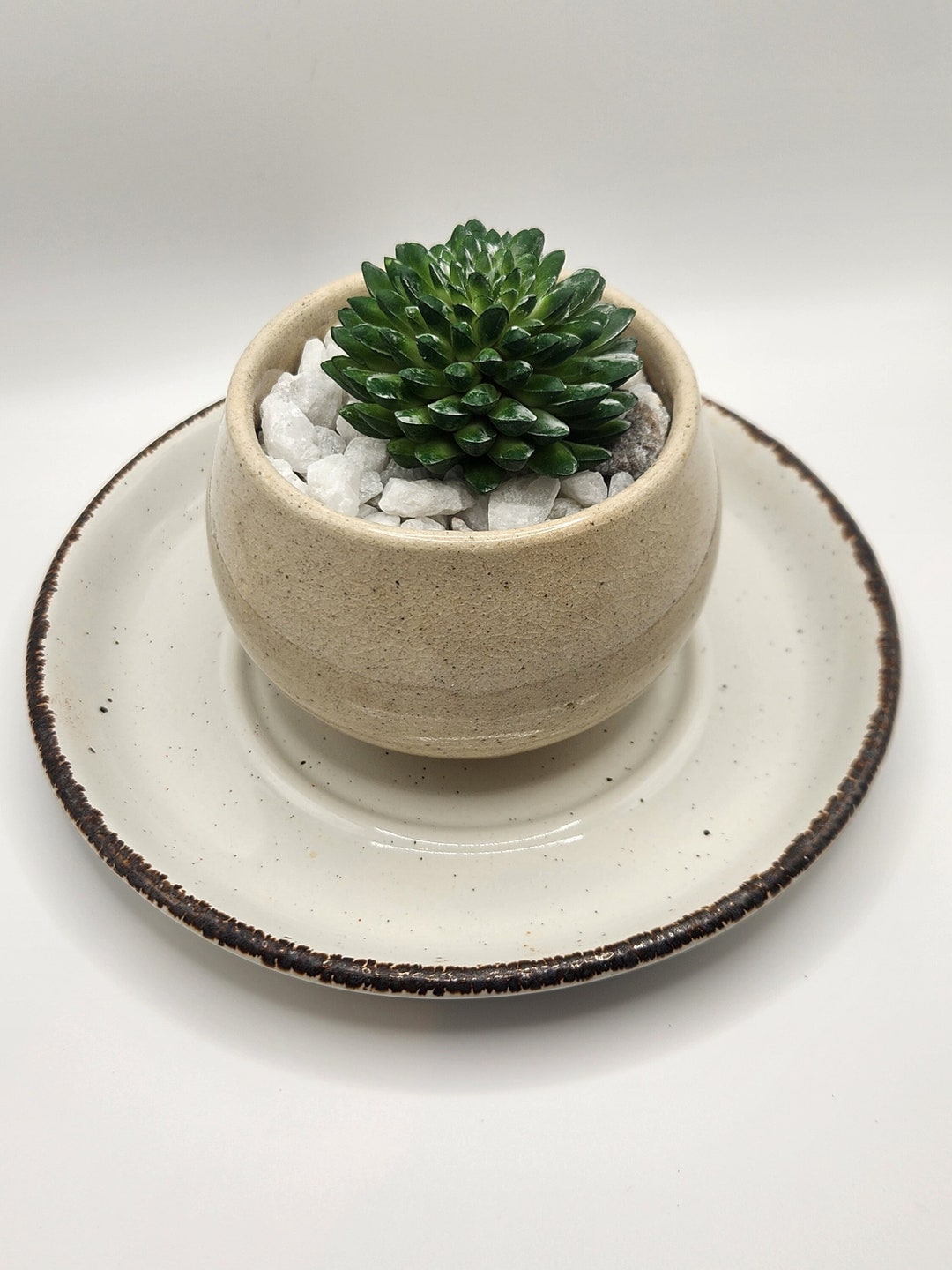 Ceramic Bowl Planter - Etsy