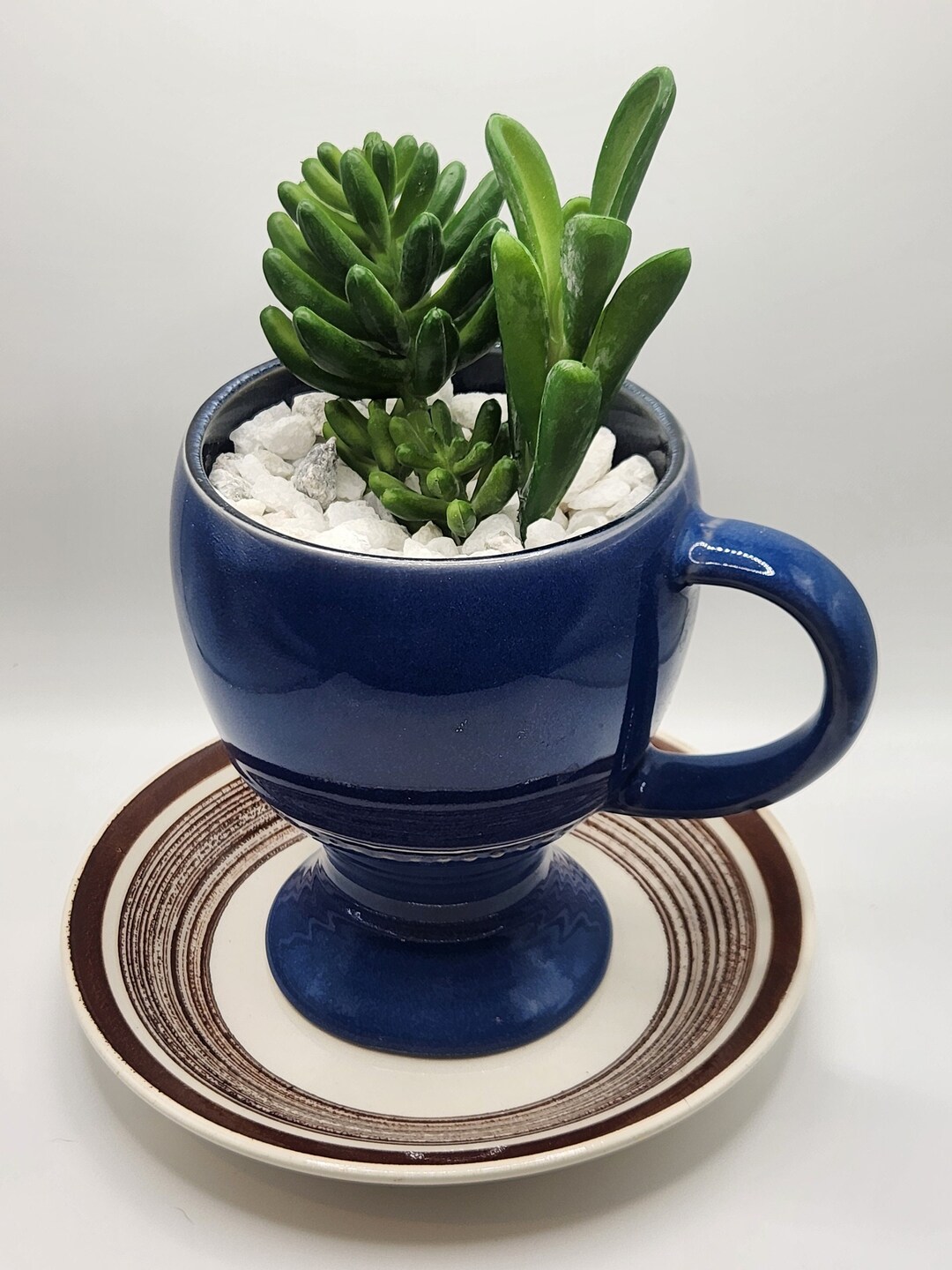 Tall Mug Planter - Etsy