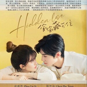 DVD Chinese Drama Hidden Love 偷偷藏不住 (1-25 End) English Subtitle, All ...