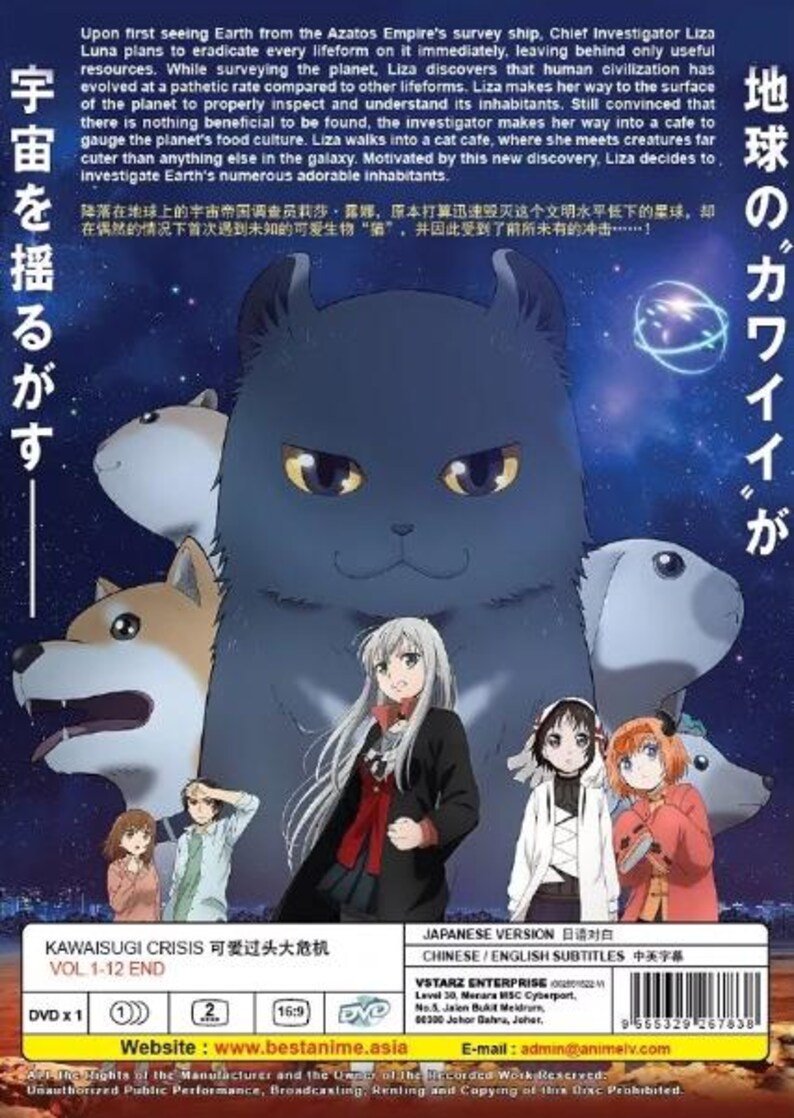 DVD Anime Kawaisugi Crisis (too Cute) TV Series (1-12 End) English ...