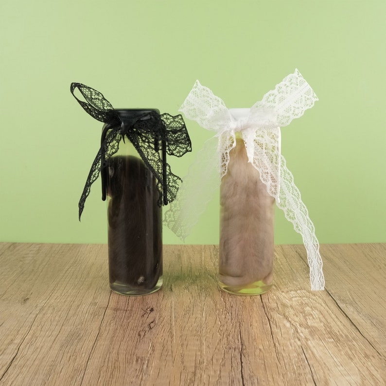 Baby Fox Lace Jar Wet Specimens, Fox Specimen in Liquid, Taxidermy Fox ...