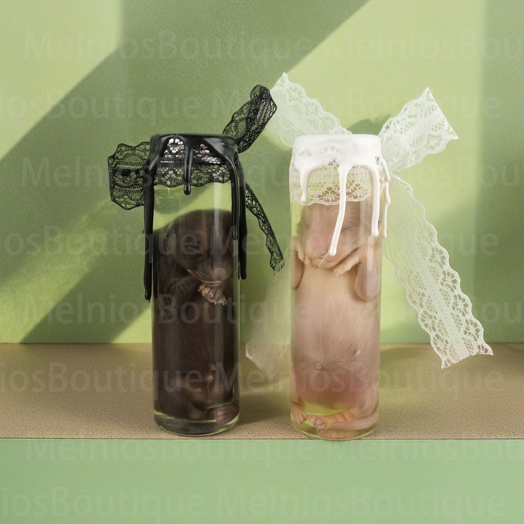 Baby Fox Lace Jar Wet Specimens, Fox Specimen in Liquid, Taxidermy Fox ...