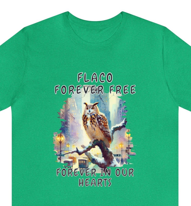 Flaco the Owl, Loving Memory of Flaco, a New York Icon, Central Park ...