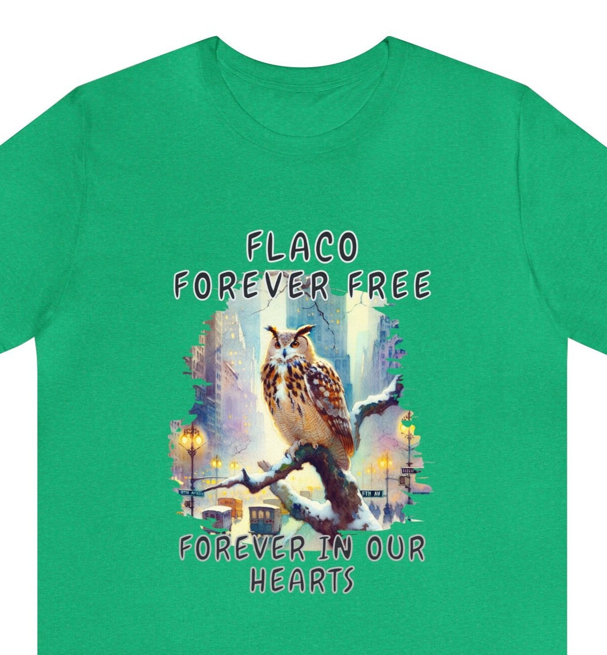 Flaco the Owl, Loving Memory of Flaco, a New York Icon, Central Park ...