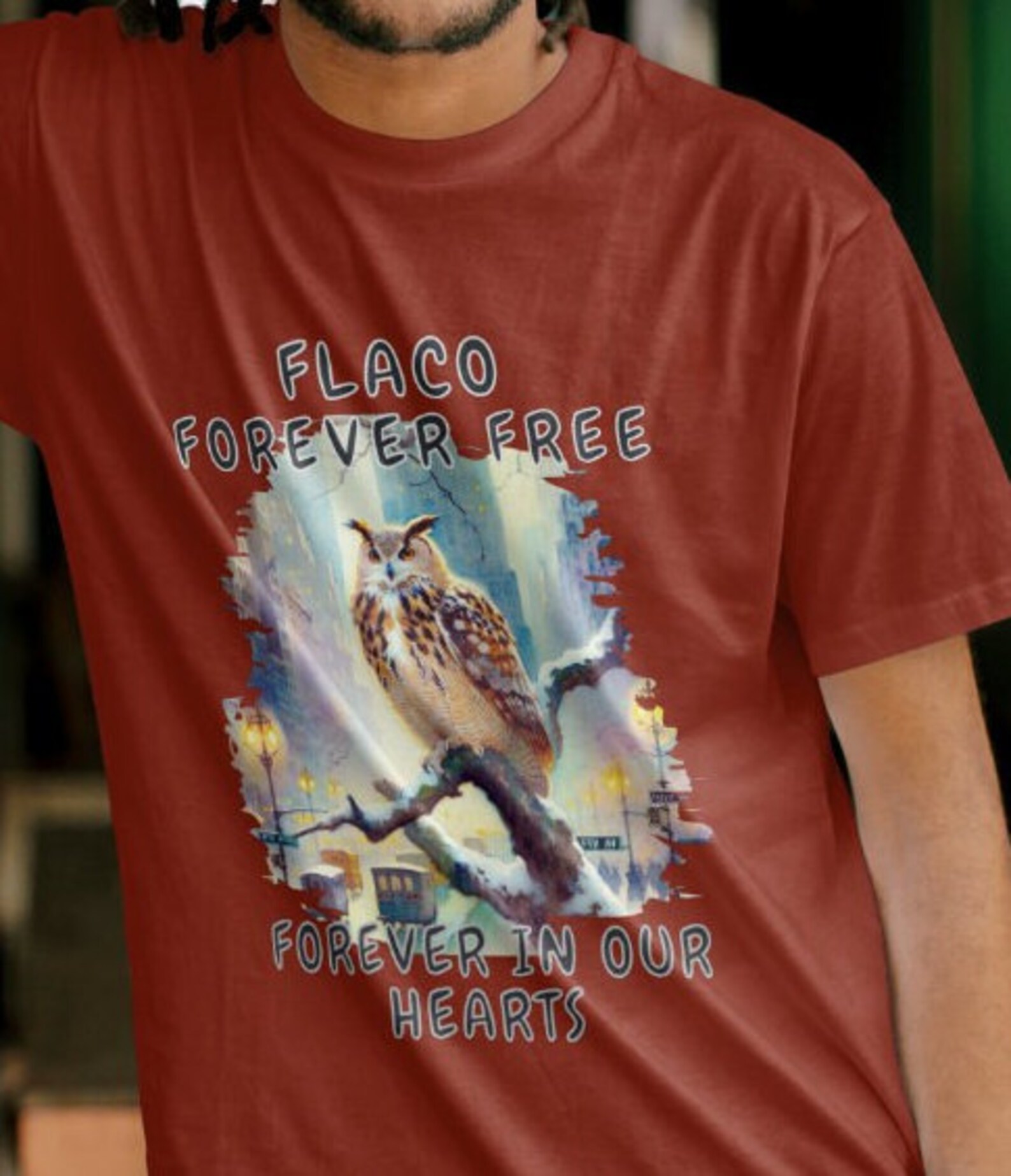 Flaco the Owl, Loving Memory of Flaco, a New York Icon, Central Park ...