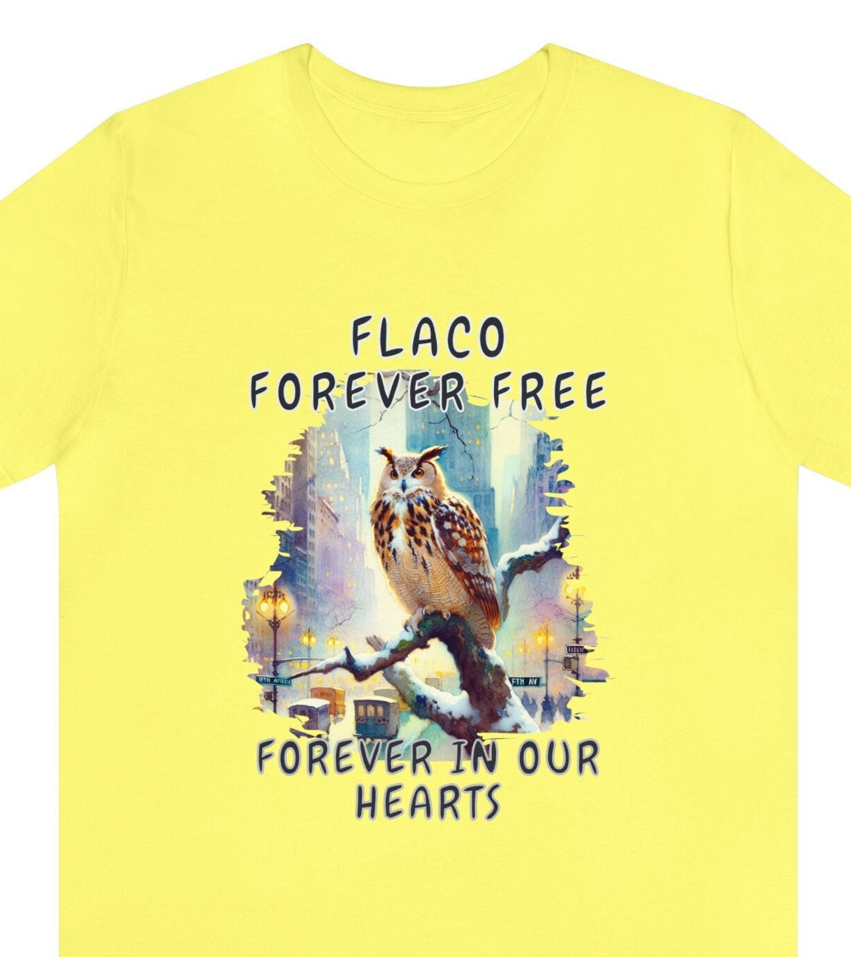 Flaco the Owl, Loving Memory of Flaco, a New York Icon, Central Park ...