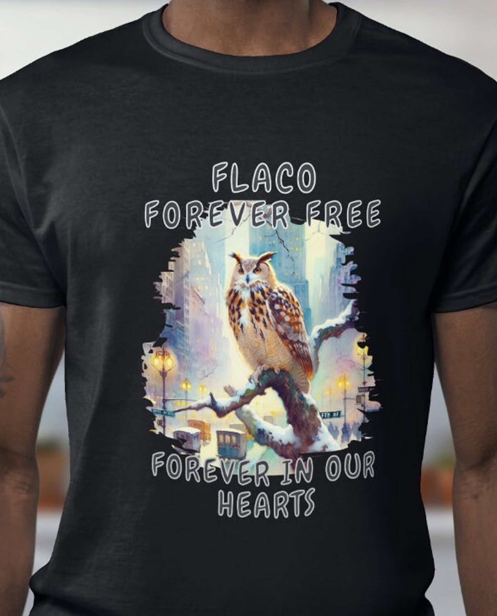 Flaco the Owl, Loving Memory of Flaco, a New York Icon, Central Park ...