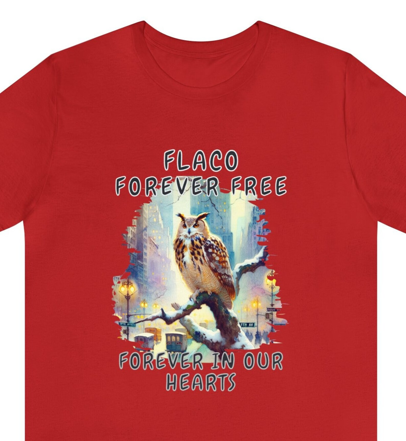 Flaco the Owl, Loving Memory of Flaco, a New York Icon, Central Park ...