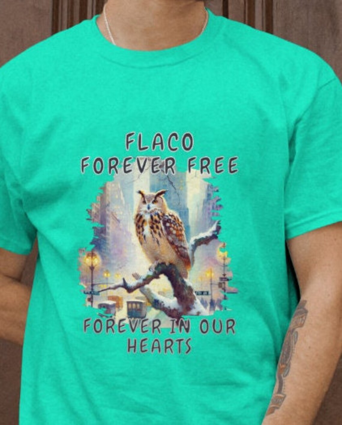 Flaco the Owl, Loving Memory of Flaco, a New York Icon, Central Park ...