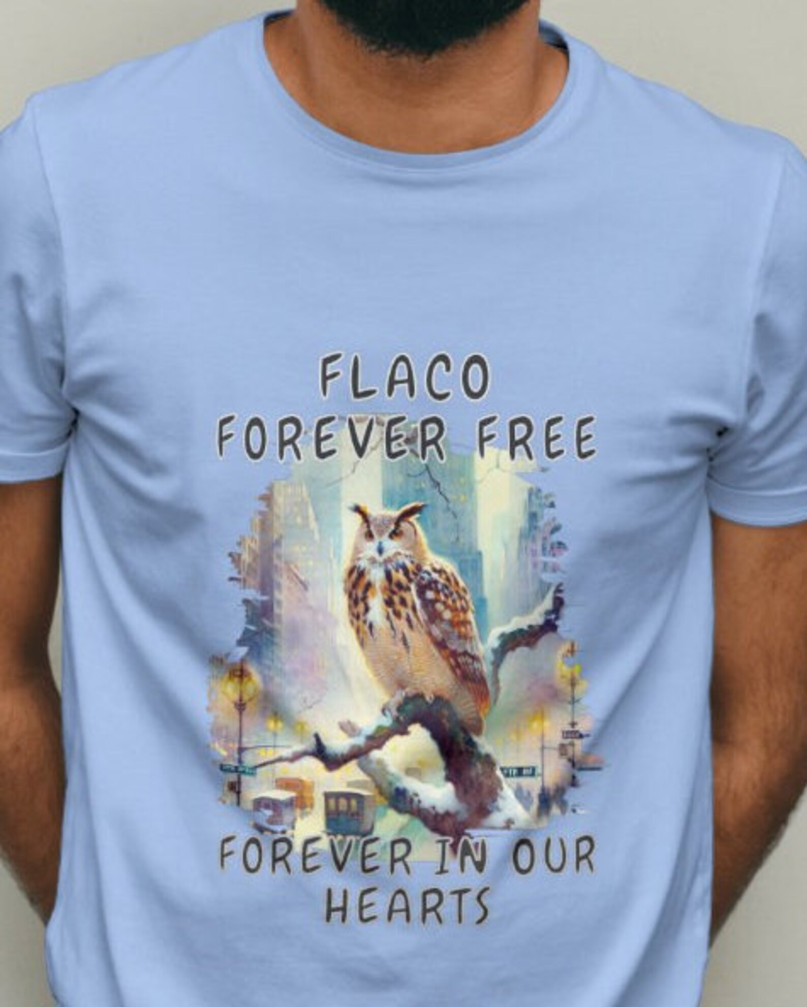 Flaco the Owl, Loving Memory of Flaco, a New York Icon, Central Park ...