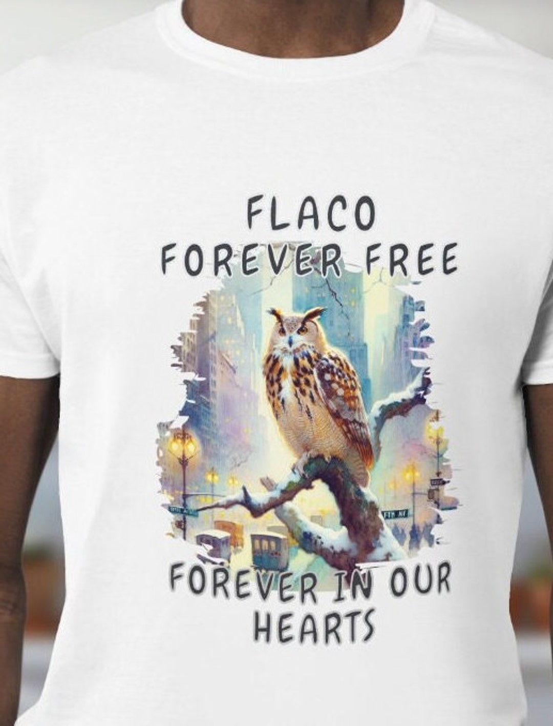Flaco the Owl, Loving Memory of Flaco, a New York Icon, Central Park ...