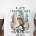 Flaco the Owl, Loving Memory of Flaco, a New York Icon, Central Park ...