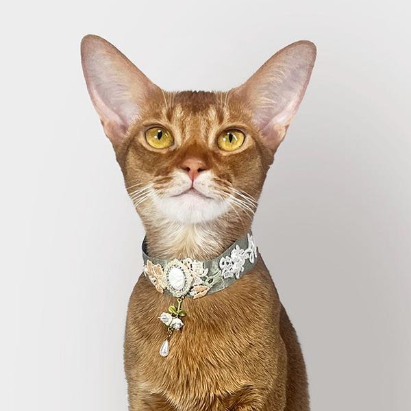 Victorian Collars - Etsy