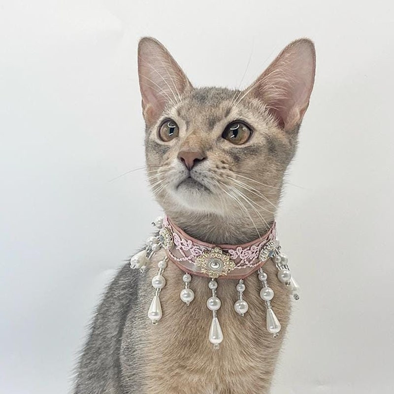 Lace Cat Collar - Etsy