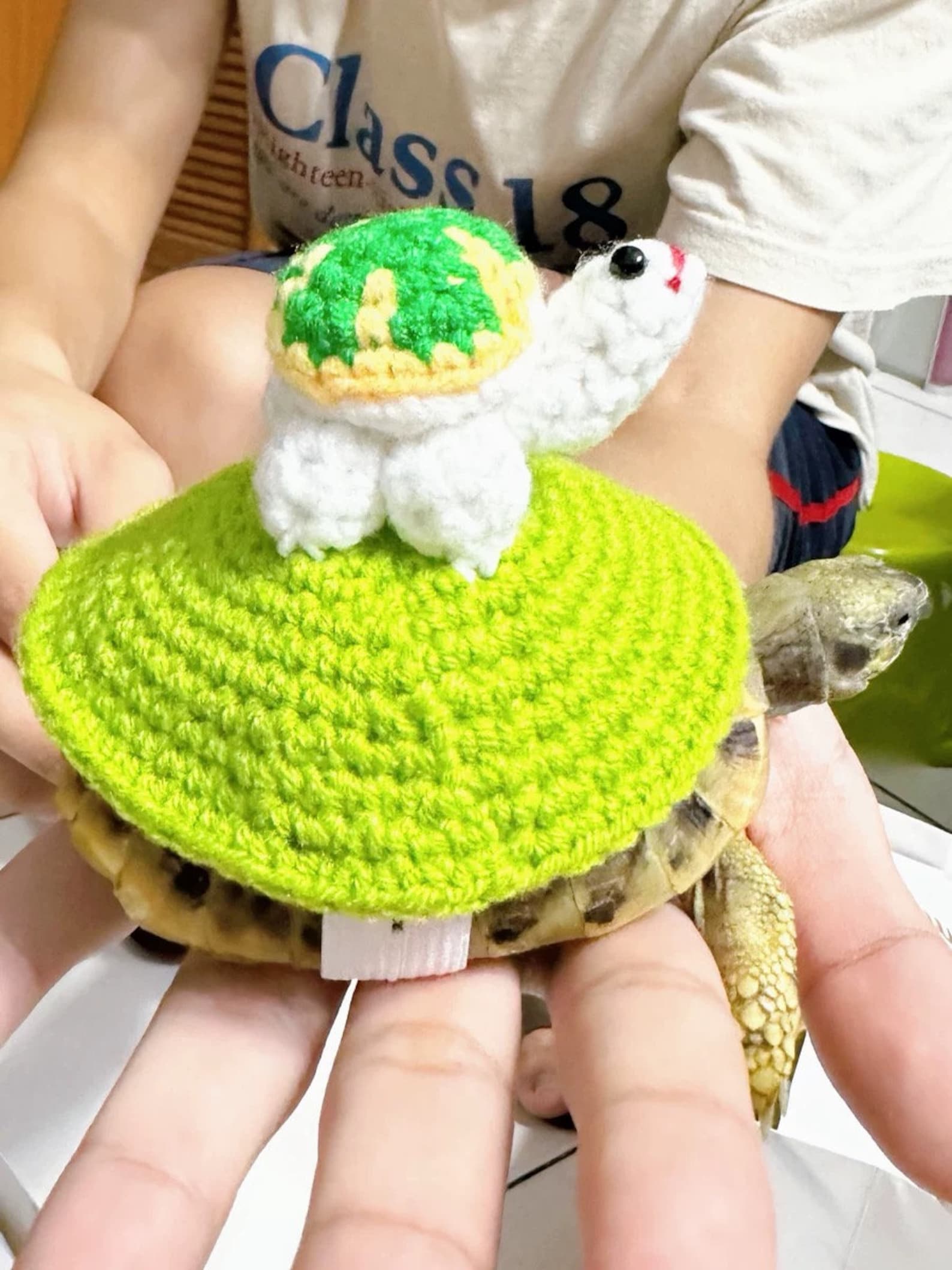 Handcrafted Custom-knit Clothing and Costume Styles for Turtles ...