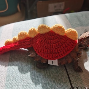 Handcrafted Petwear & Costume Styles for Turtles | Turtle Garments ...