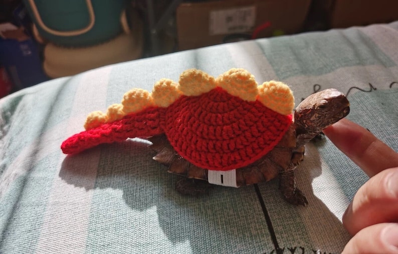 Handcrafted Petwear & Costume Styles for Turtles | Turtle Garments ...