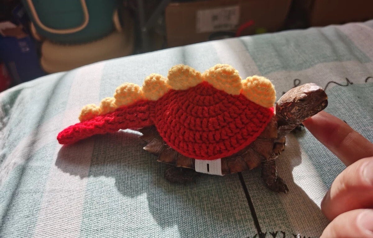Handcrafted Petwear & Costume Styles for Turtles | Turtle Garments ...
