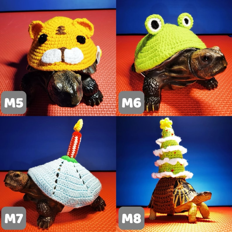 Handcrafted Petwear & Costume Styles for Turtles | Turtle Garments ...