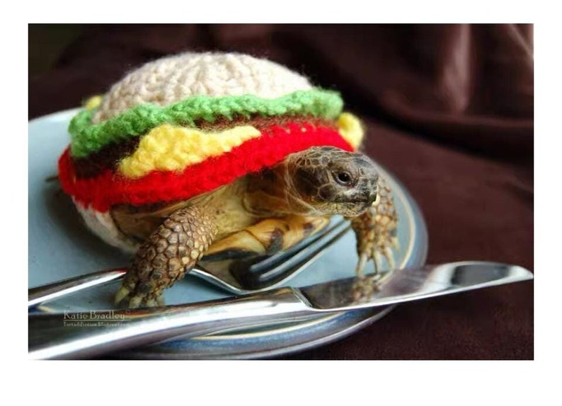Handmade Crochet Turtle Clothes, Cute Cozy Pet Sweater, Unique Tortoise ...