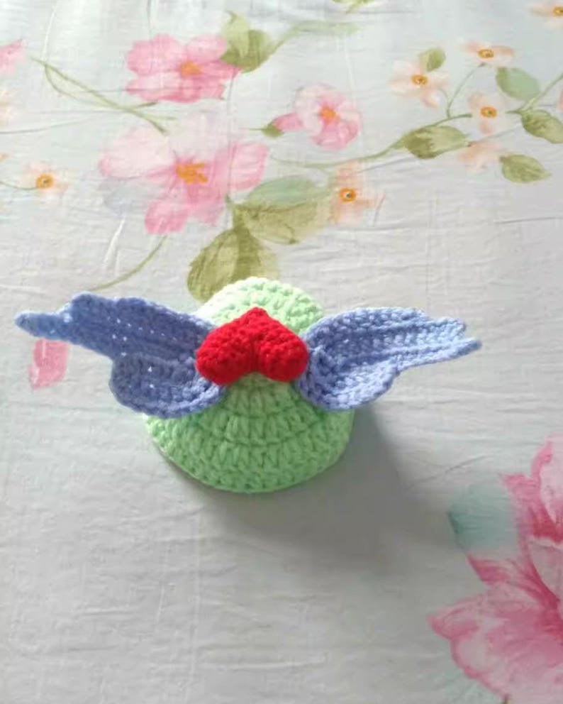 Custom Angel Heart Wing Turtle Costume, Handmade Crochet Pet Outfit ...