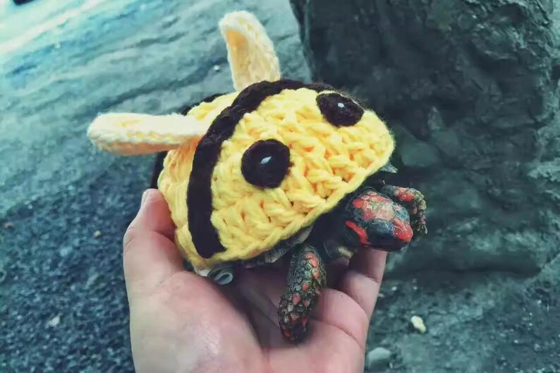 Handcrafted Petwear & Costume Styles for Turtles | Turtle Garments ...