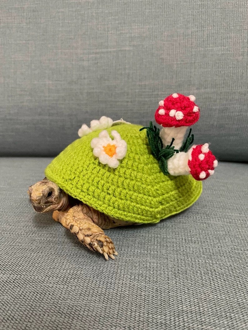 Handcrafted Custom-knit Clothing and Costume Styles for Turtles ...