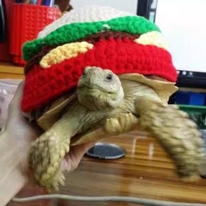 Handmade Crochet Turtle Clothes, Cute Cozy Pet Sweater, Unique Tortoise ...