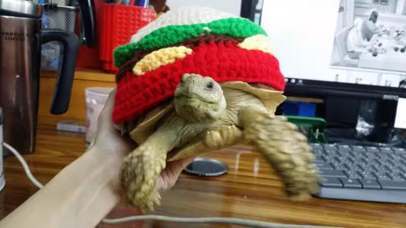 Handmade Crochet Turtle Clothes, Cute Cozy Pet Sweater, Unique Tortoise ...