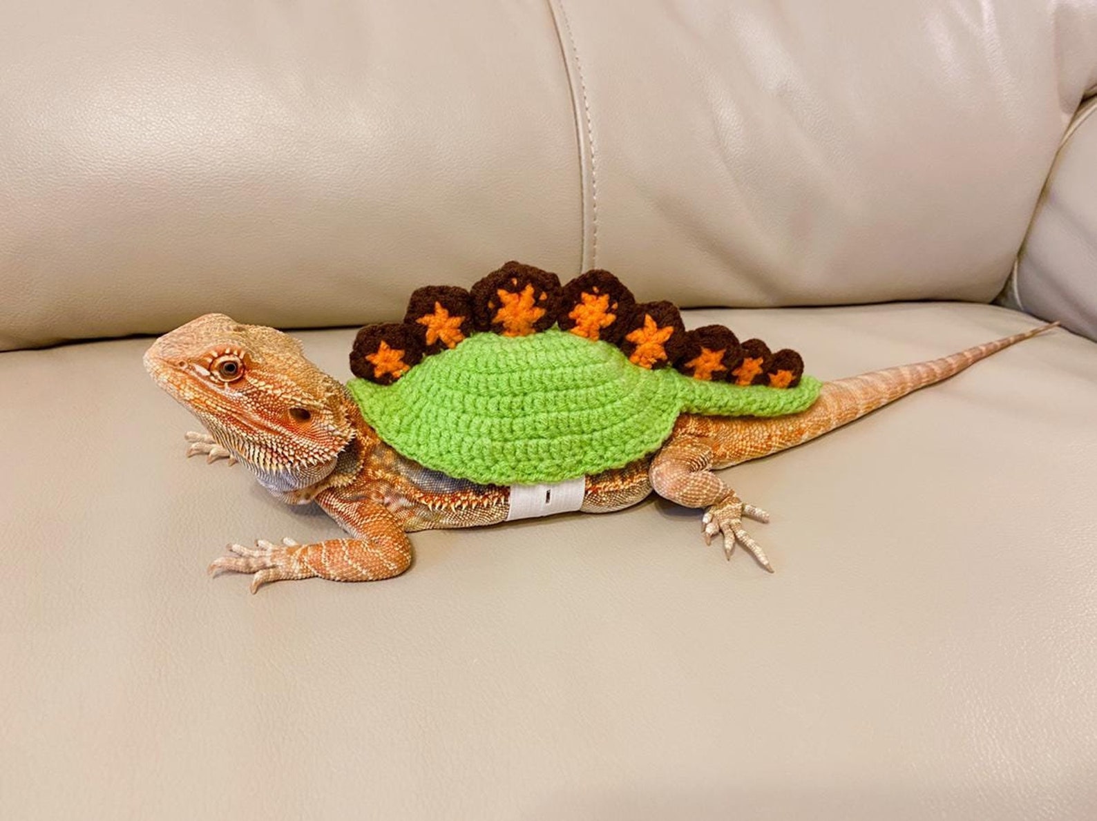 Handmade Crochet Reptile Costume for Bearded Dragon, Christmas ...