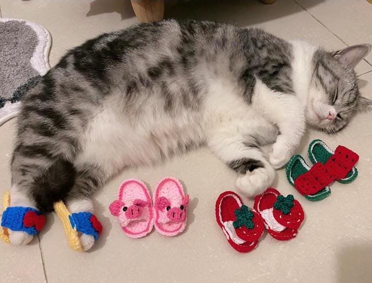 Adorable Crochet Cat Slippers, Fun Cartoon Styles for Dogs, Handmade ...