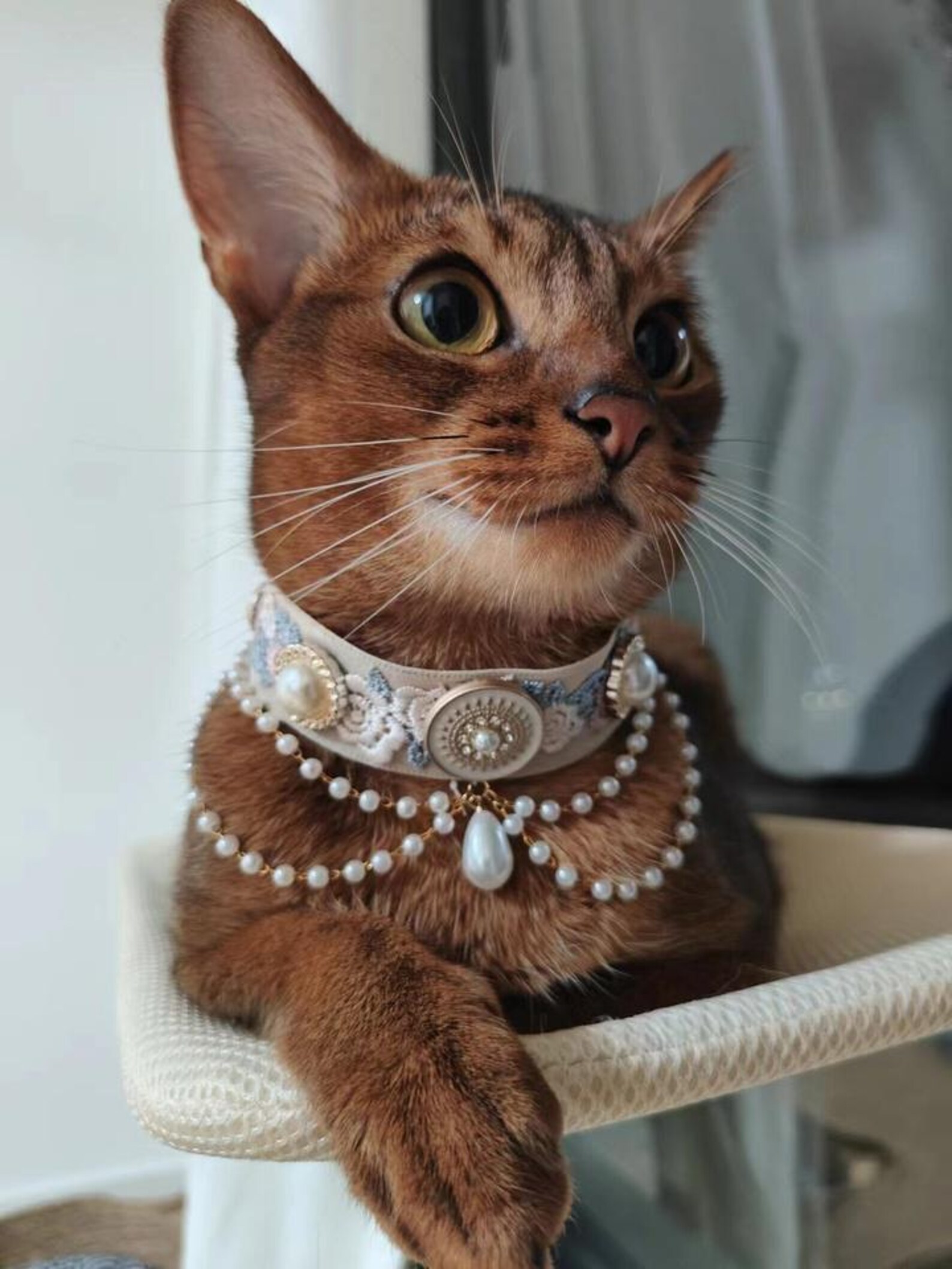 Rococo Pink Velvet Pet Decorative Collar, Embroidery Necklace for Cat ...