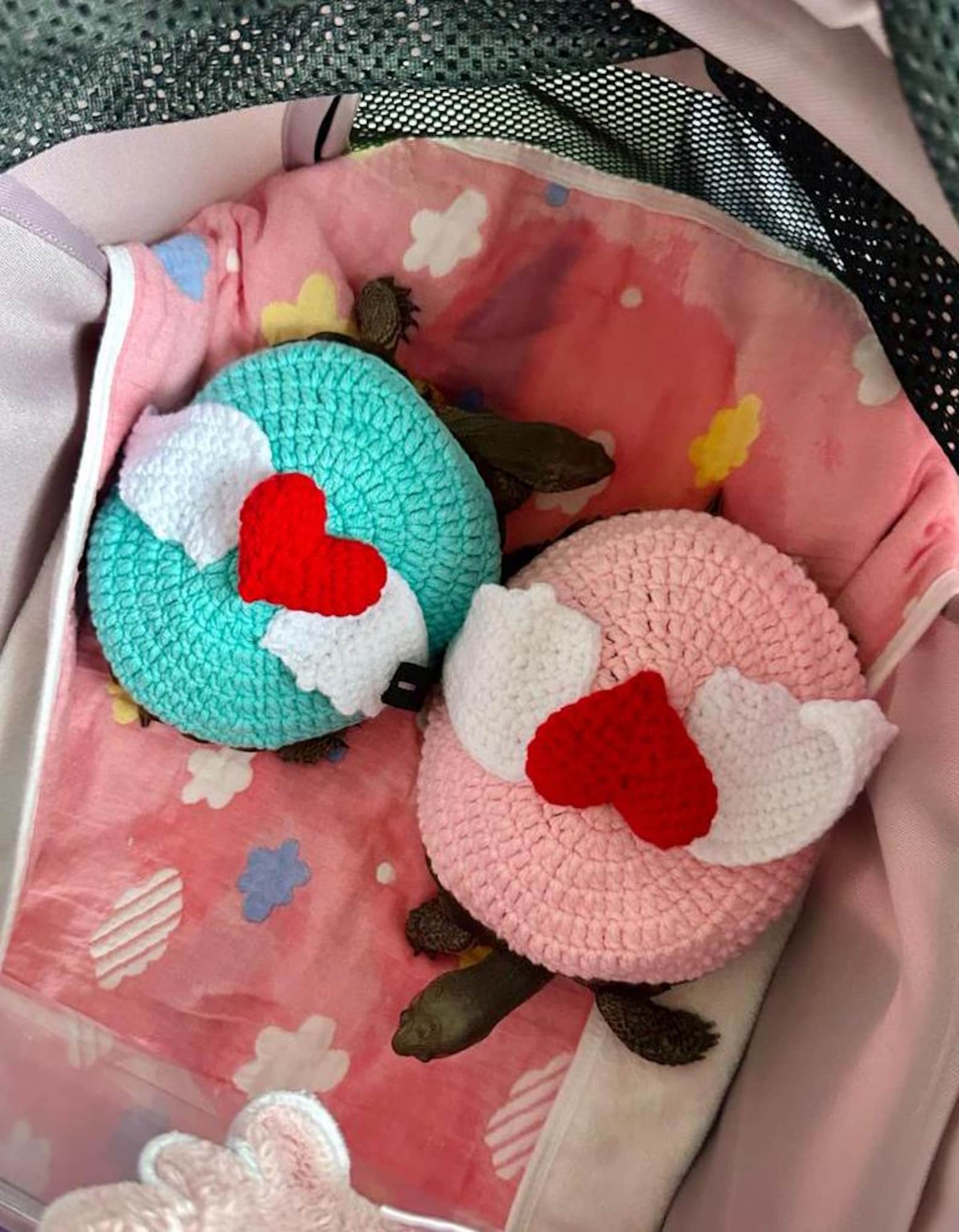 Custom Angel Heart Wing Turtle Costume, Handmade Crochet Pet Outfit ...