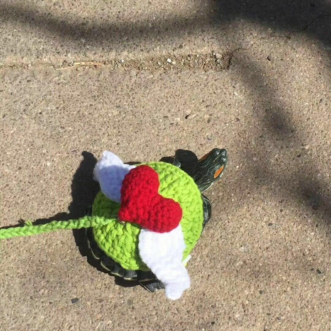 Custom Angel Heart Wing Turtle Costume, Handmade Crochet Pet Outfit ...