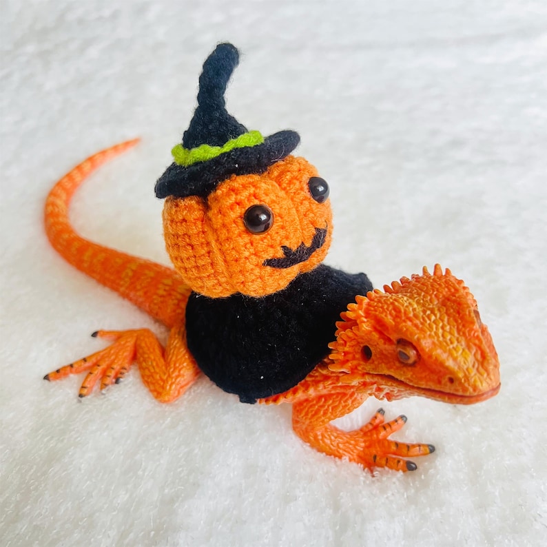 Handmade Crochet Reptile Costume for Bearded Dragon, Christmas ...