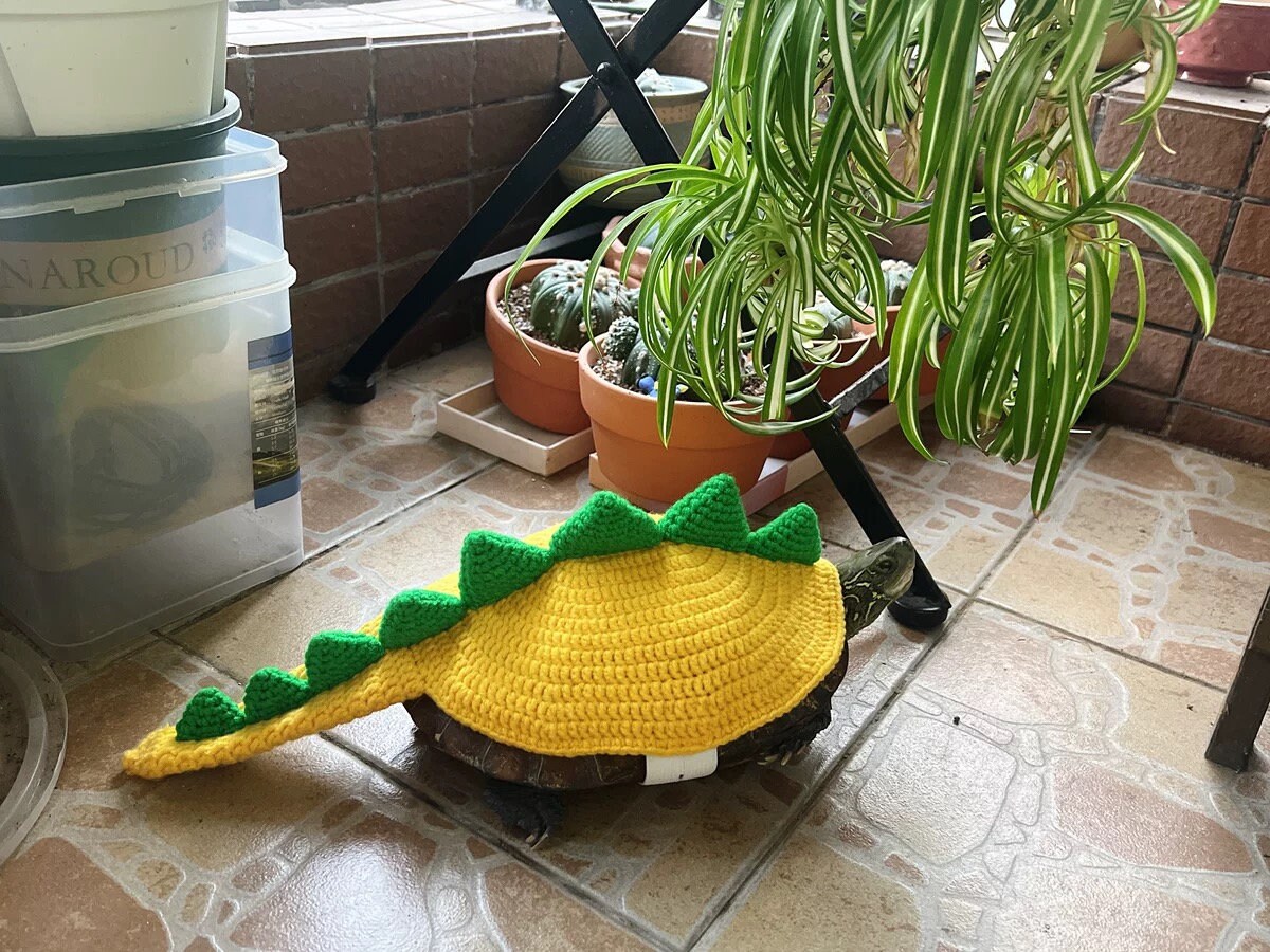 Handcrafted Petwear & Costume Styles for Turtles Turtle Garments ...