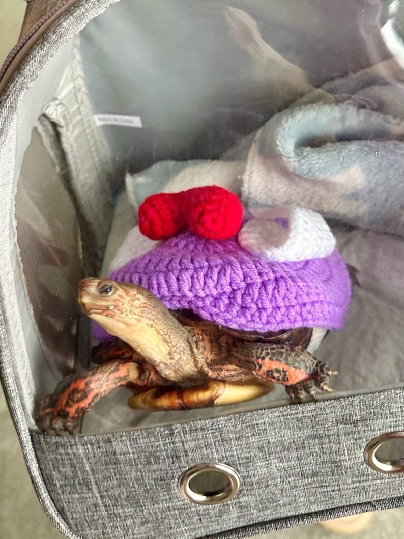 Custom Angel Heart Wing Turtle Costume, Handmade Crochet Pet Outfit ...